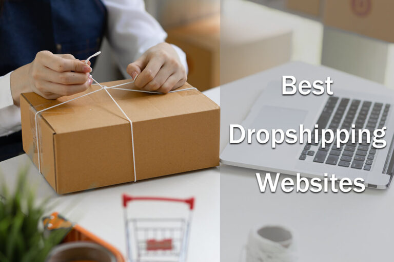 12 Best Dropshipping Websites for Growing Your Business(2026 ...